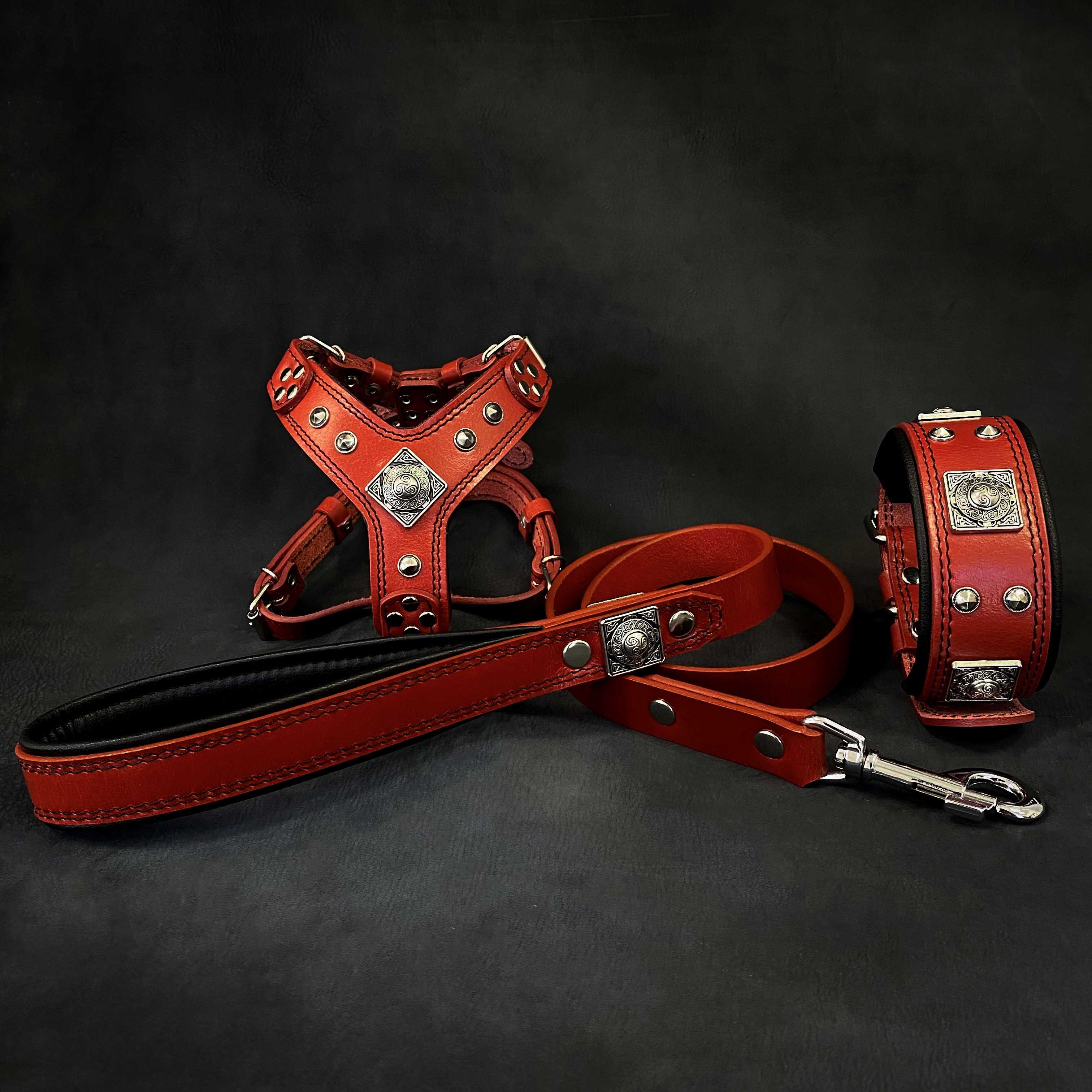 "EROS" BIG dog SET- Harness - collar - lead – Bestia Collars