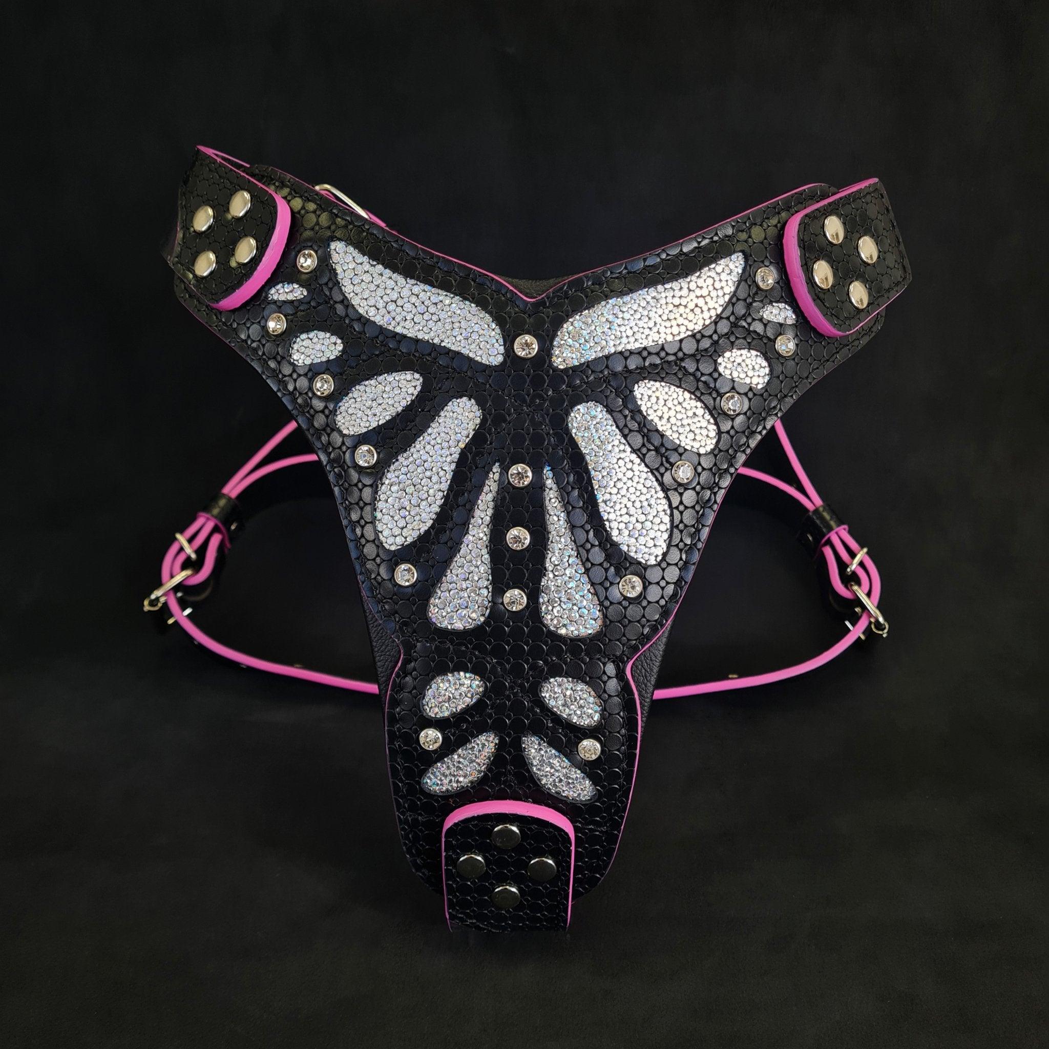 The Ariel Harness Bestia Collars