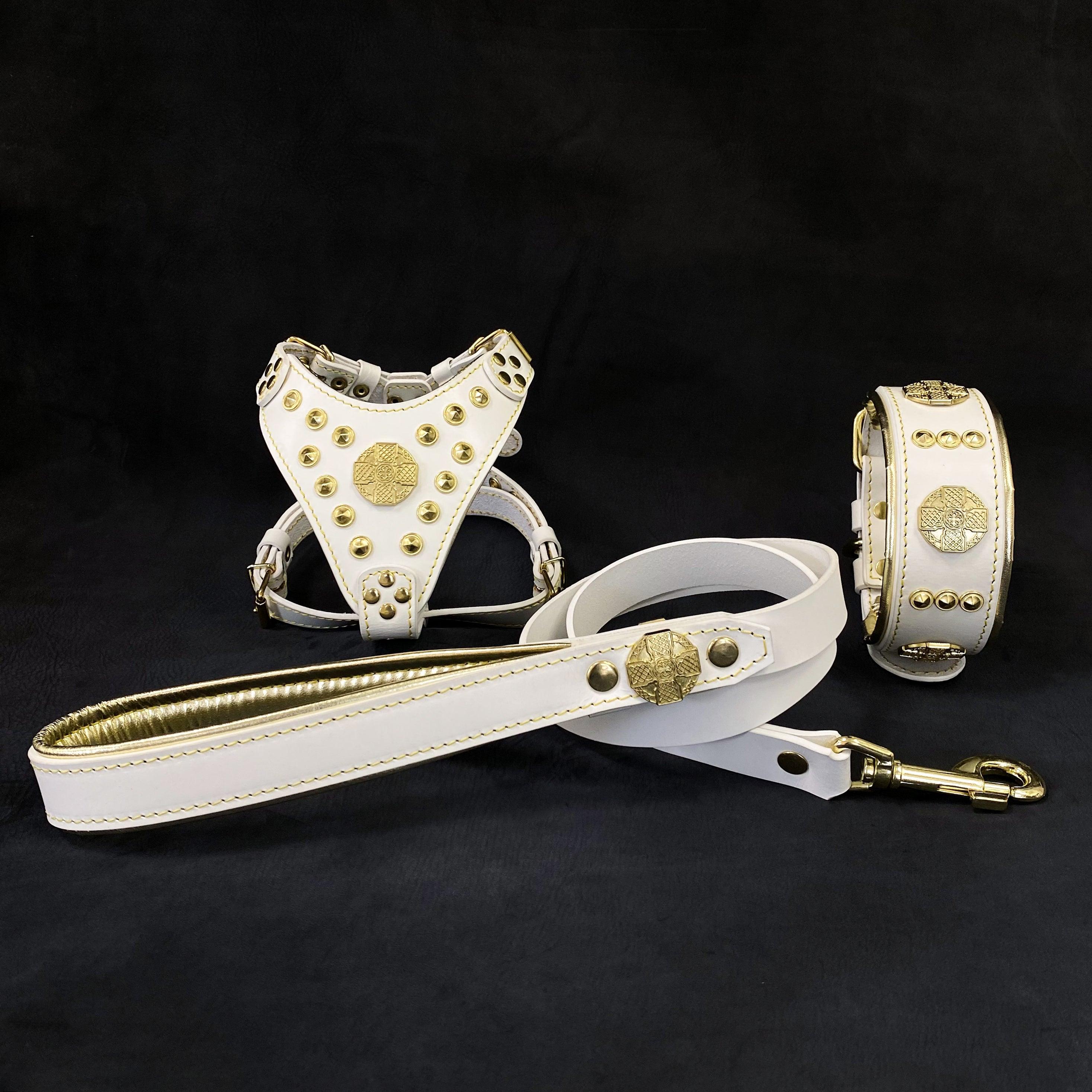 The Maxmius Set- collar, harness and leash – Bestia Collars