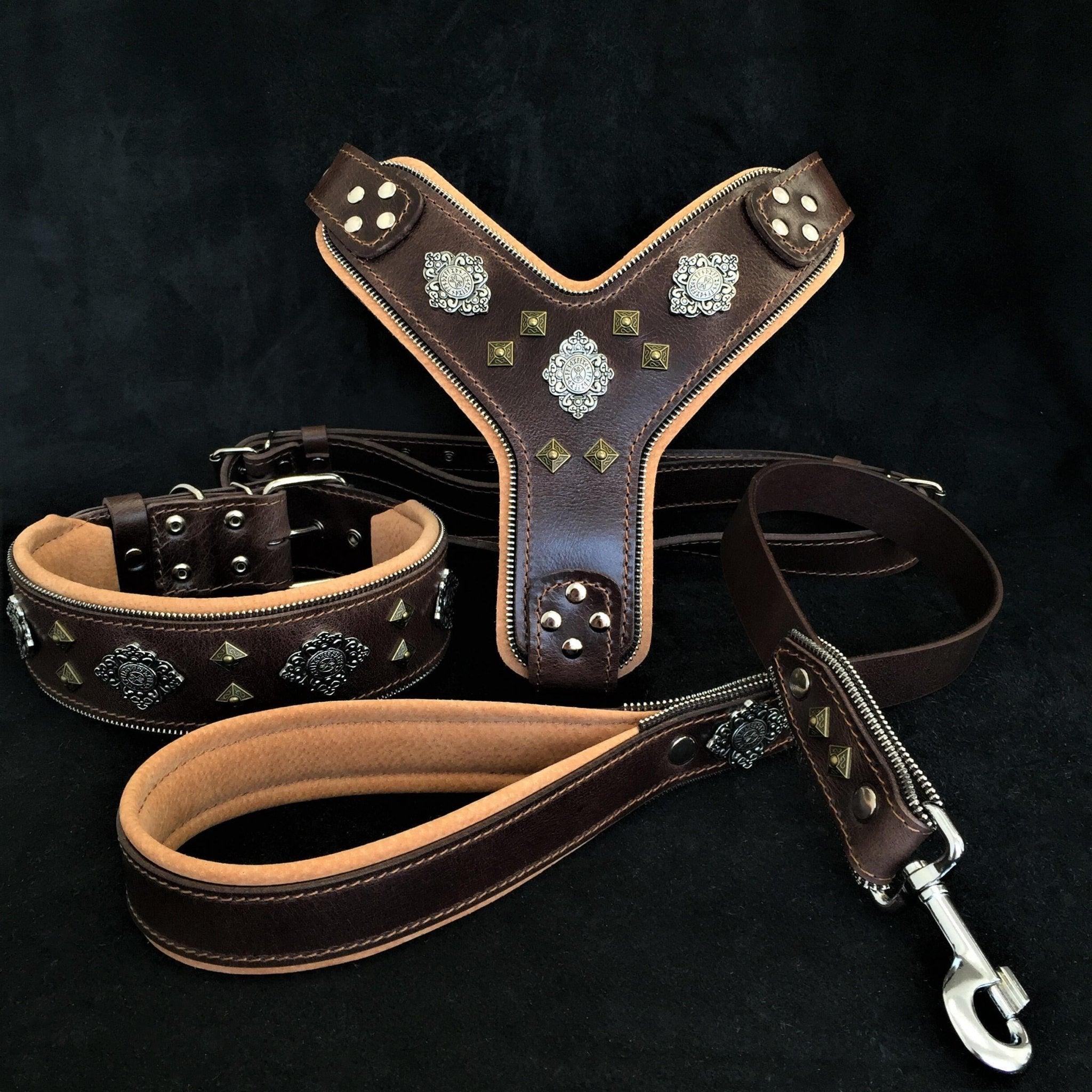 "AZTEC" BIG dog SET - Harness - collar - lead. Brown – Bestia Collars