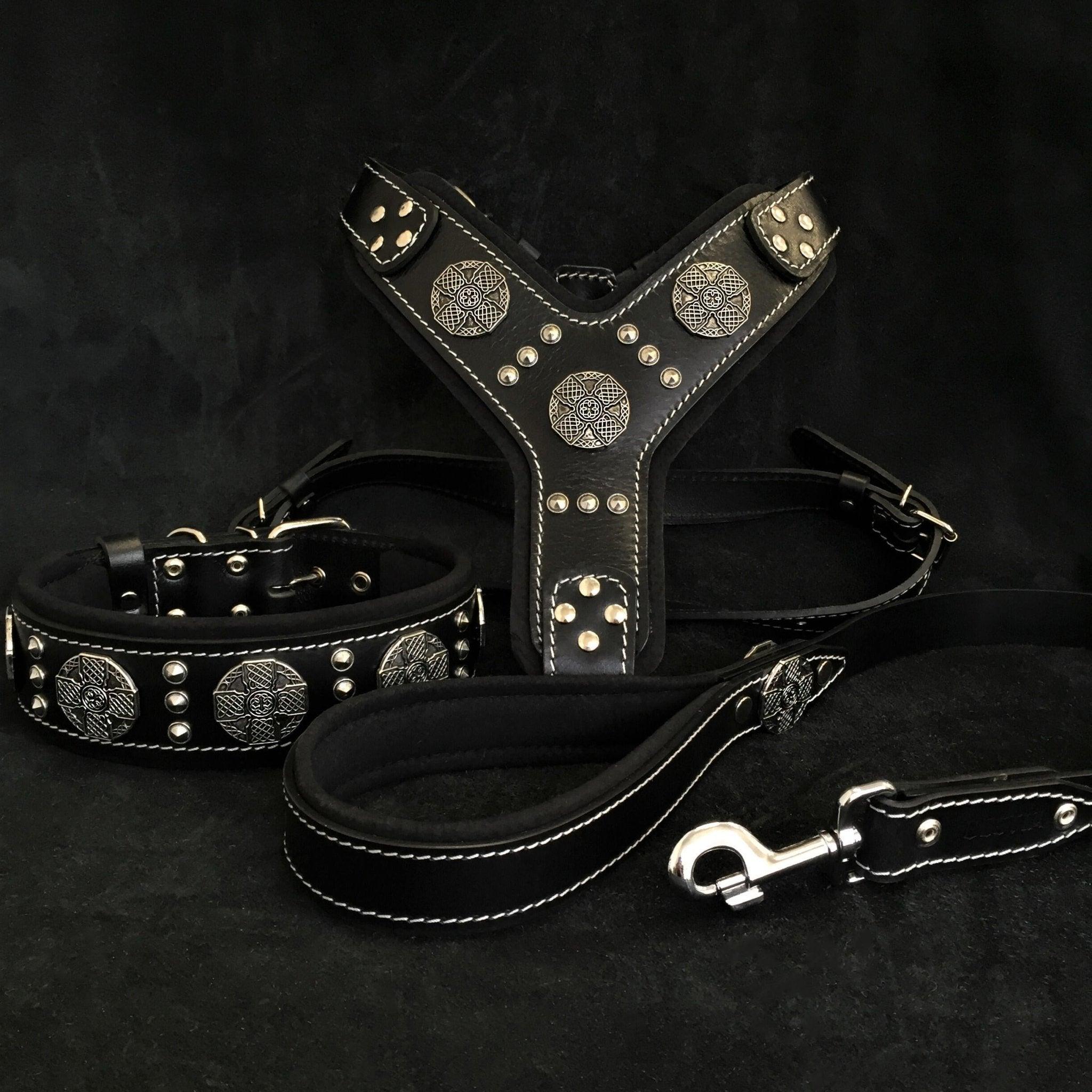 The Maxmius Silver Set- collar, harness and leash – Bestia Collars