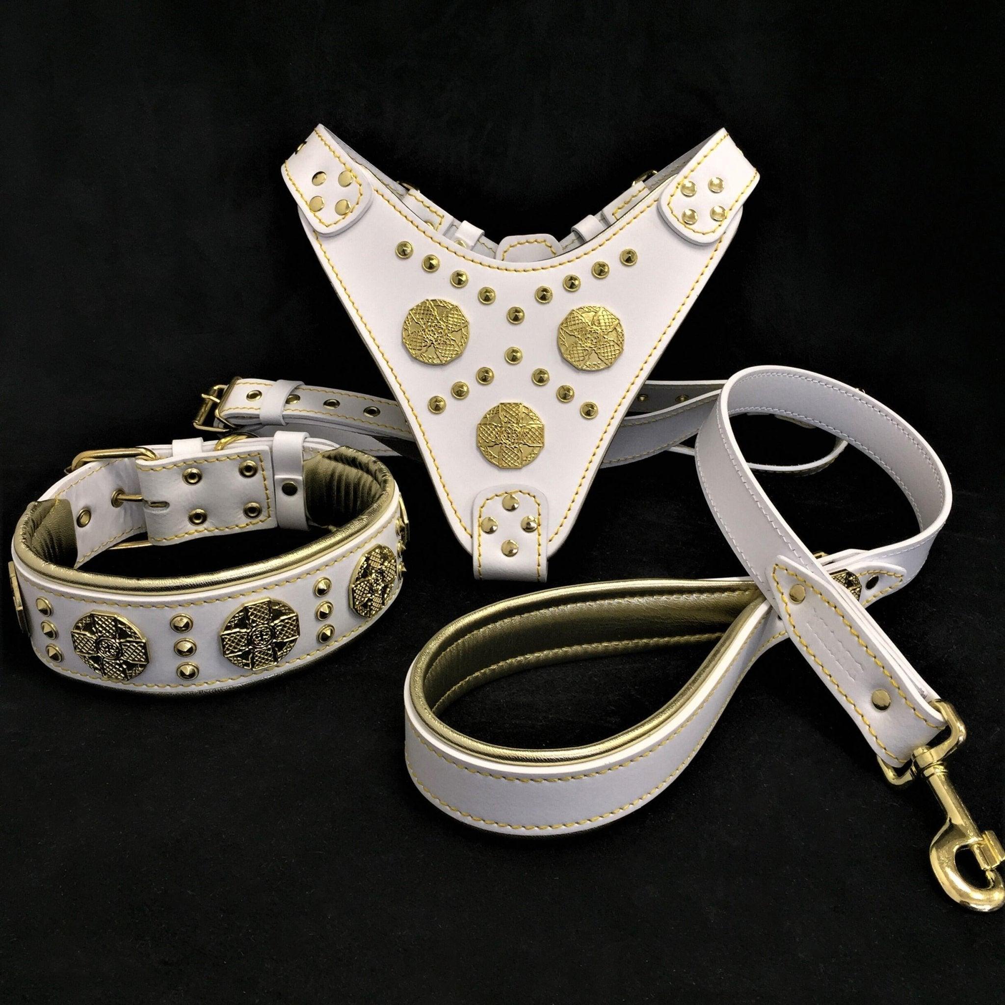 The Maxmius Set- collar, harness and leash – Bestia Collars