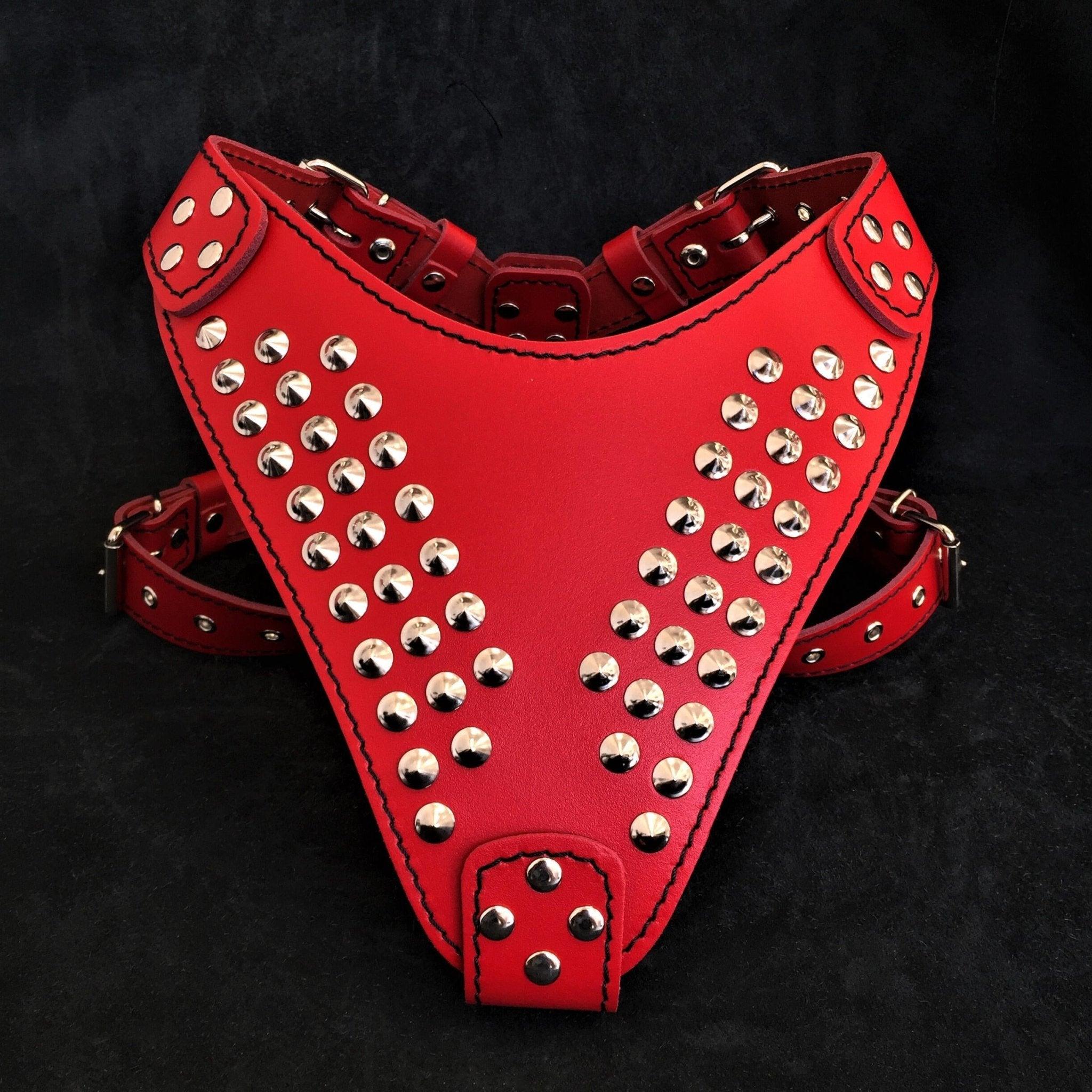 "Star" harness – Bestia Collars