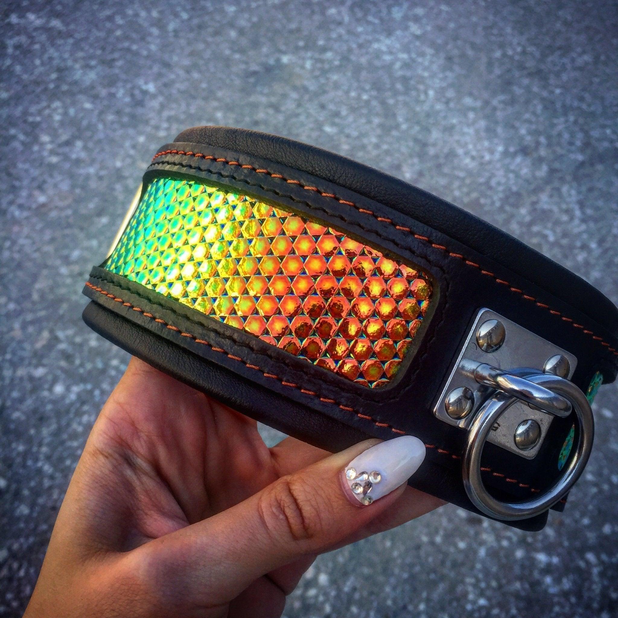 The ''D'Albertis'' collar – Bestia Collars