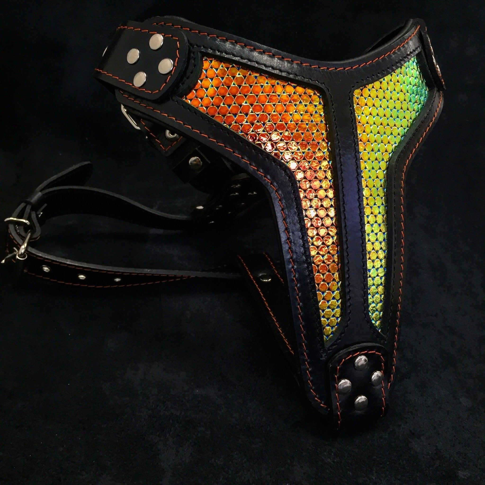 The ''D'Albertis'' harness LIMITED – Bestia Collars
