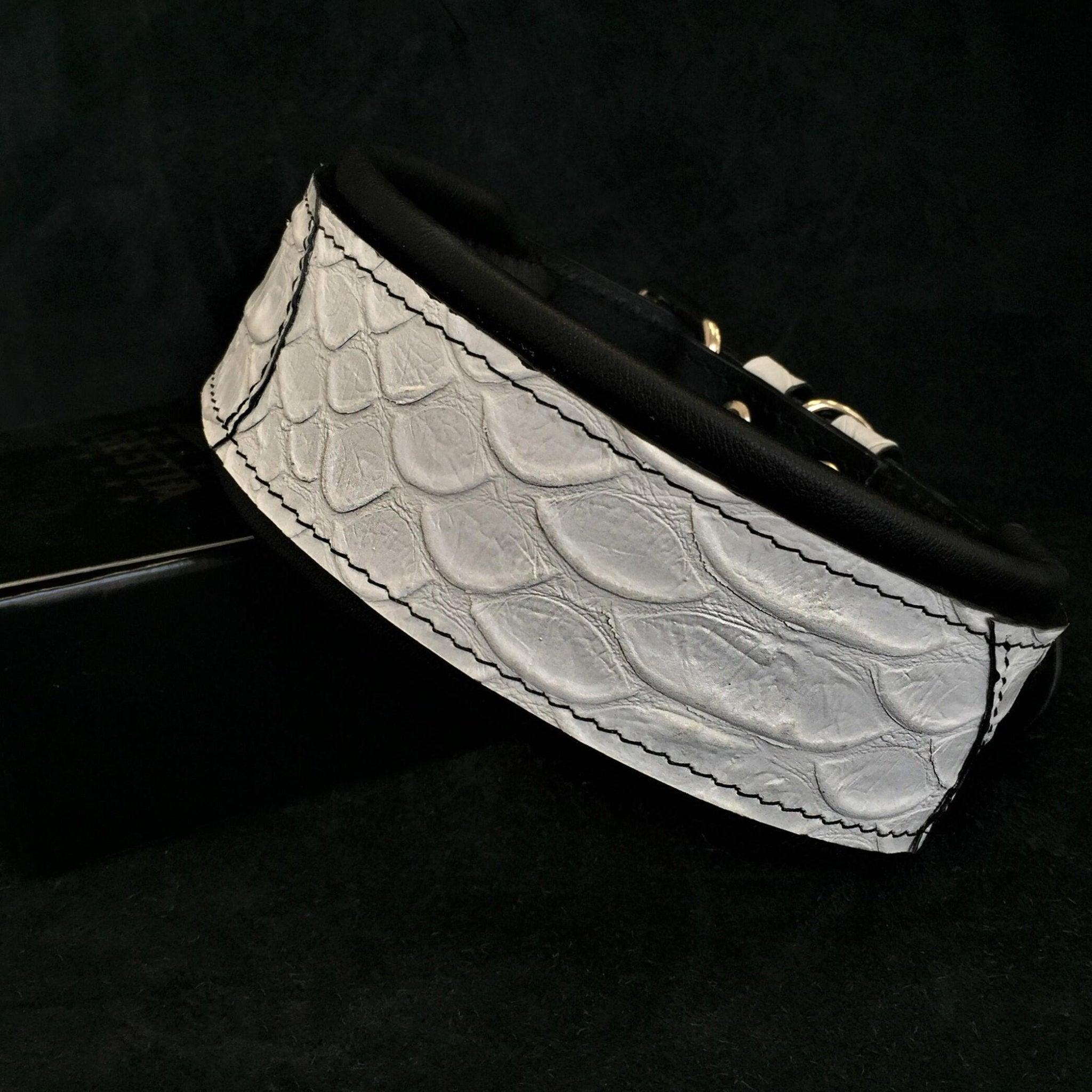 El diseño exclusivo del collar ''Dragon Scale'' LIMITED – Bestia Collars