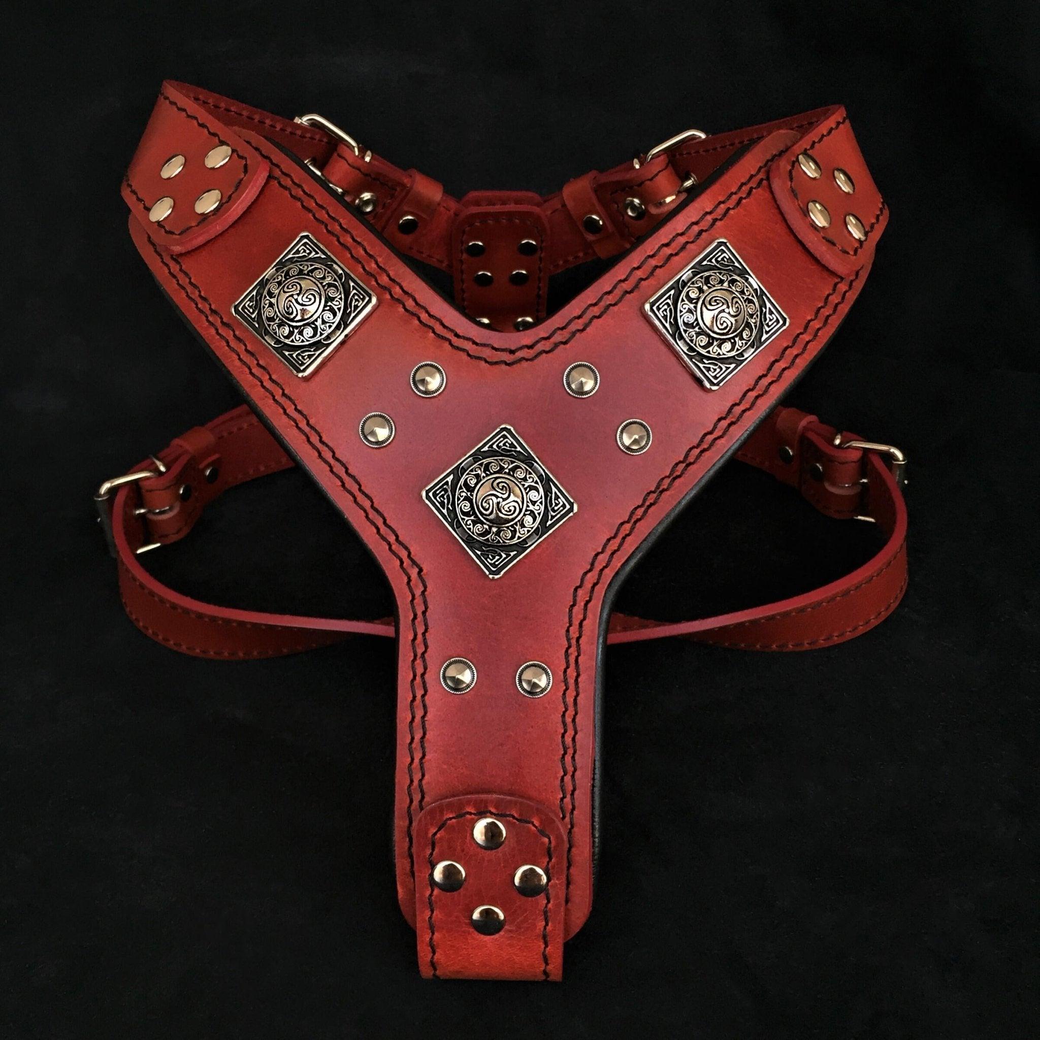 Bestia EROS chest plate leather harness for big dogs – Bestia Collars