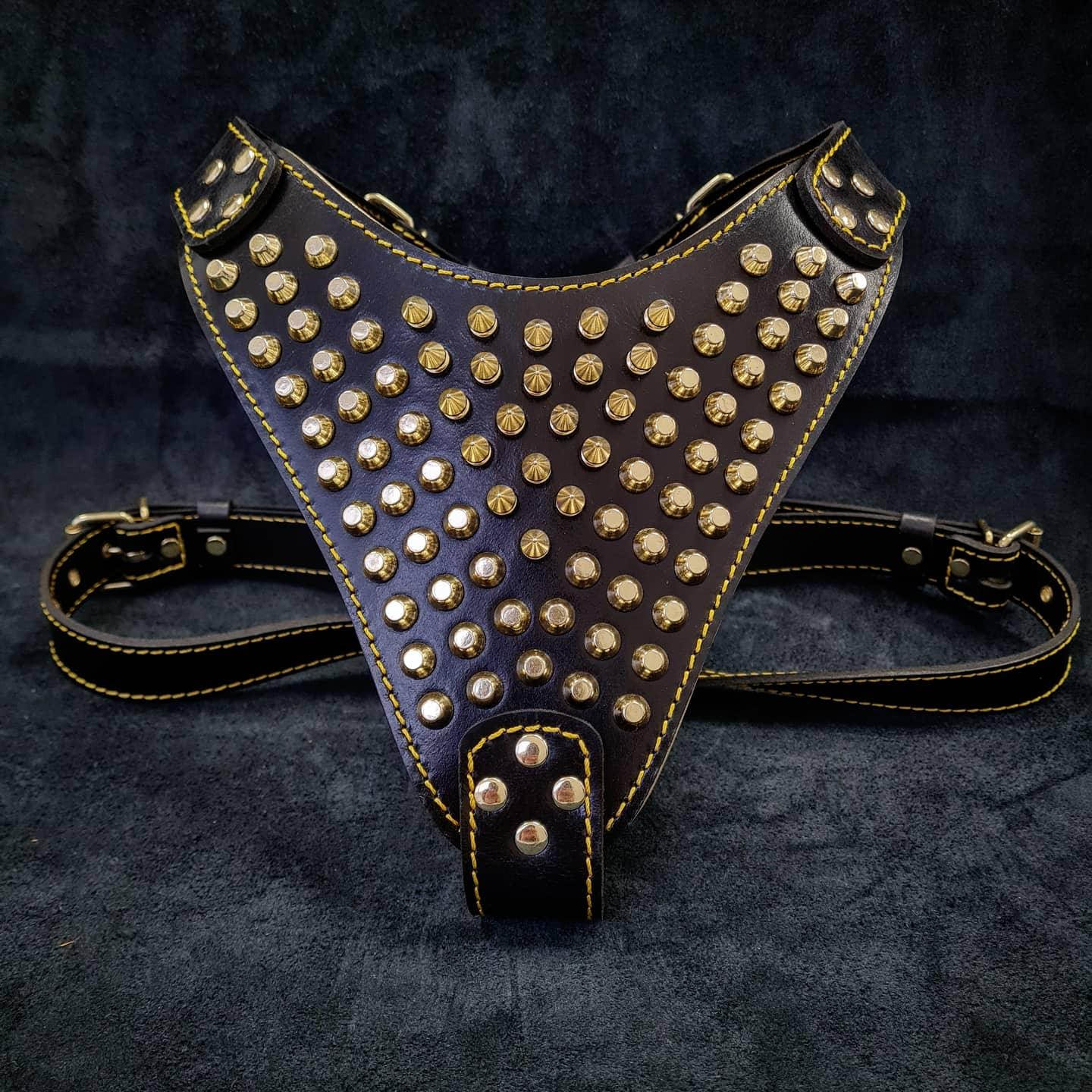 The Gladiator genuine leather dog harness – Bestia Collars