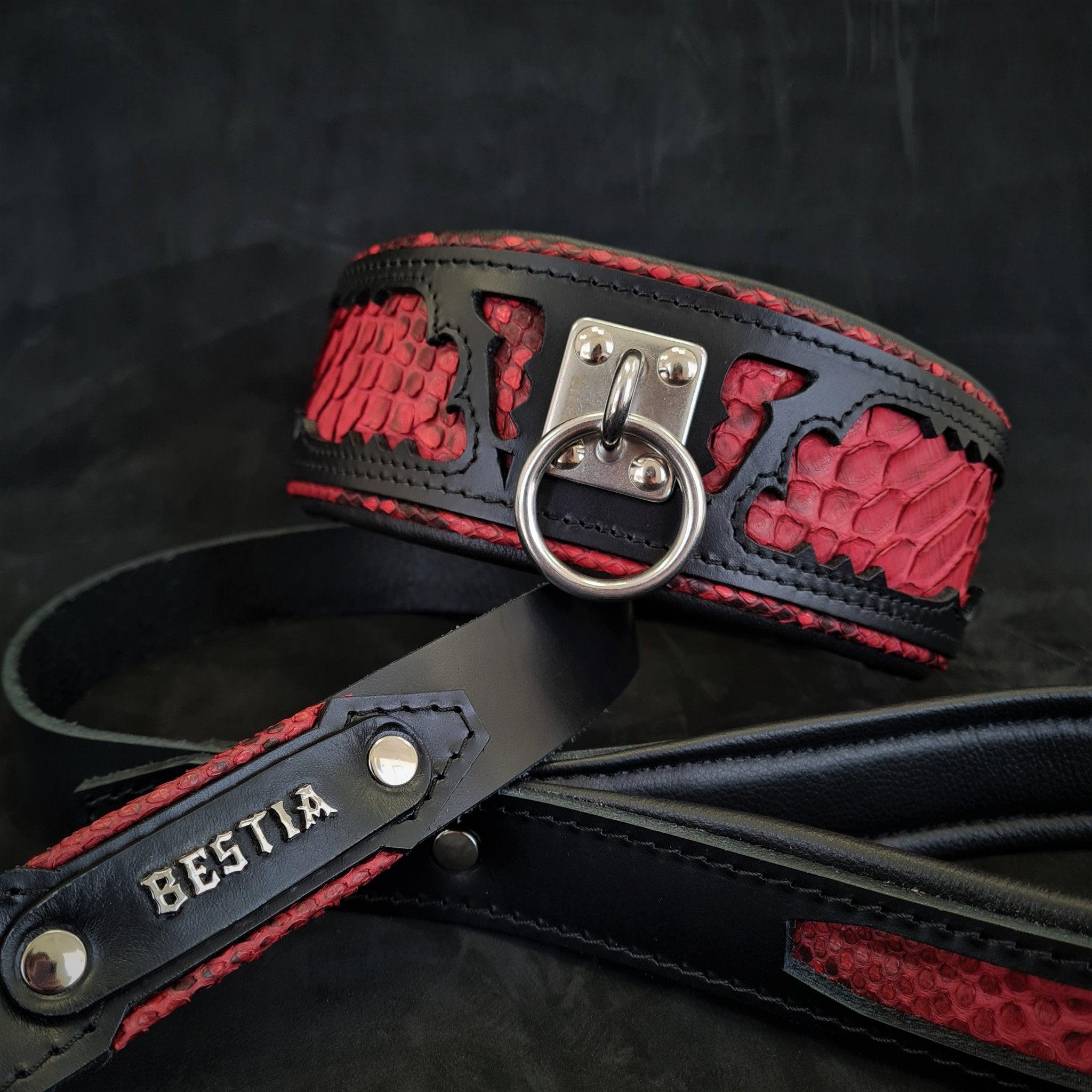 The Balteus genuine leather dog leash – Bestia Collars