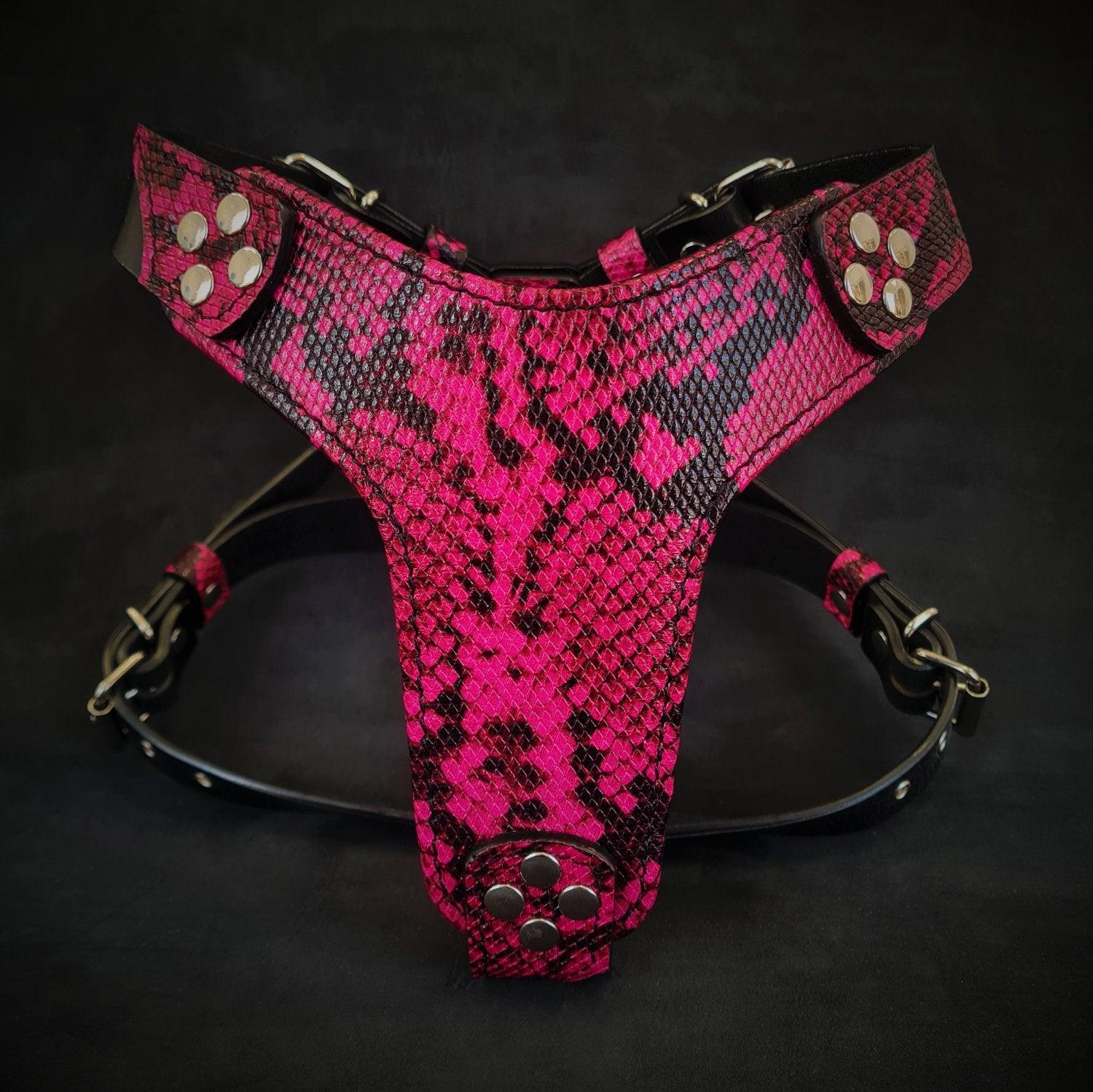 The ''Rock Python'' harness Small to Medium Size – Bestia Collars