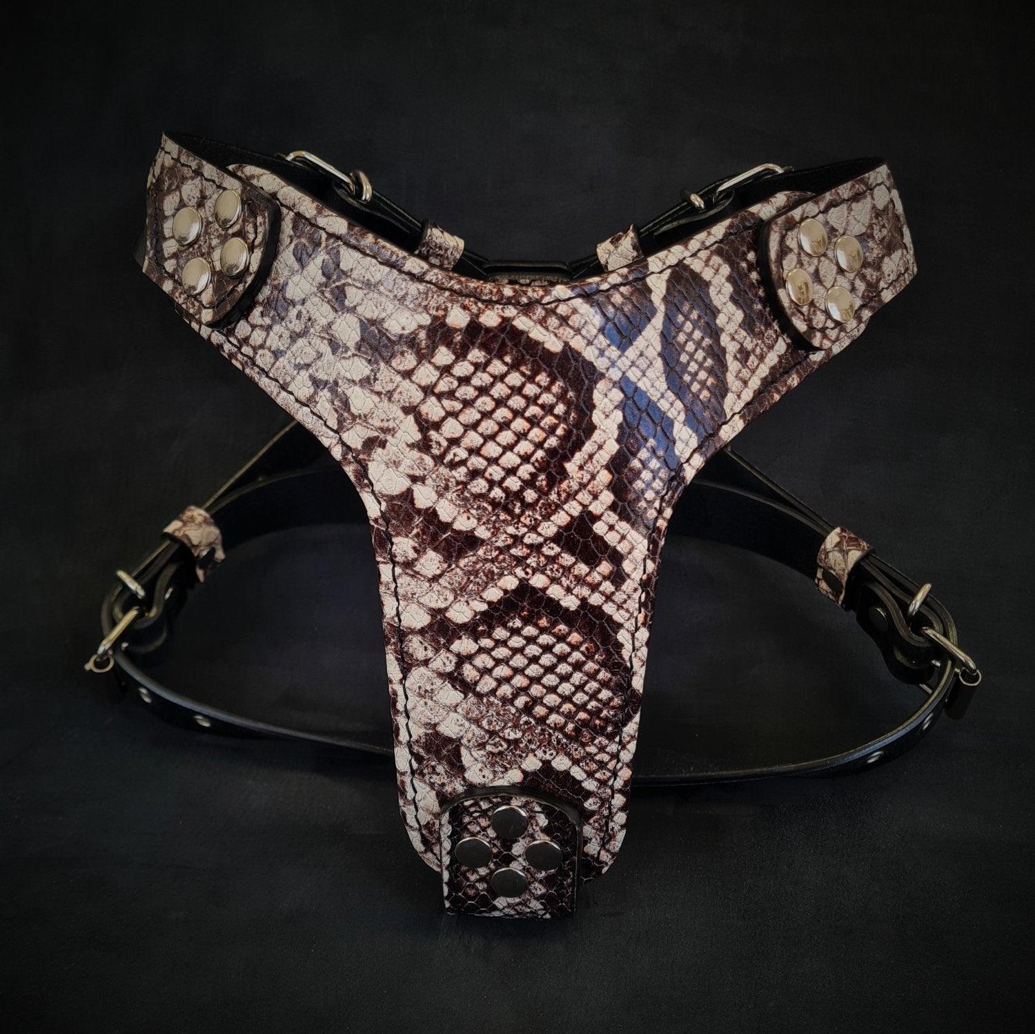 The ''Rock Python'' harness Small to Medium Size – Bestia Collars