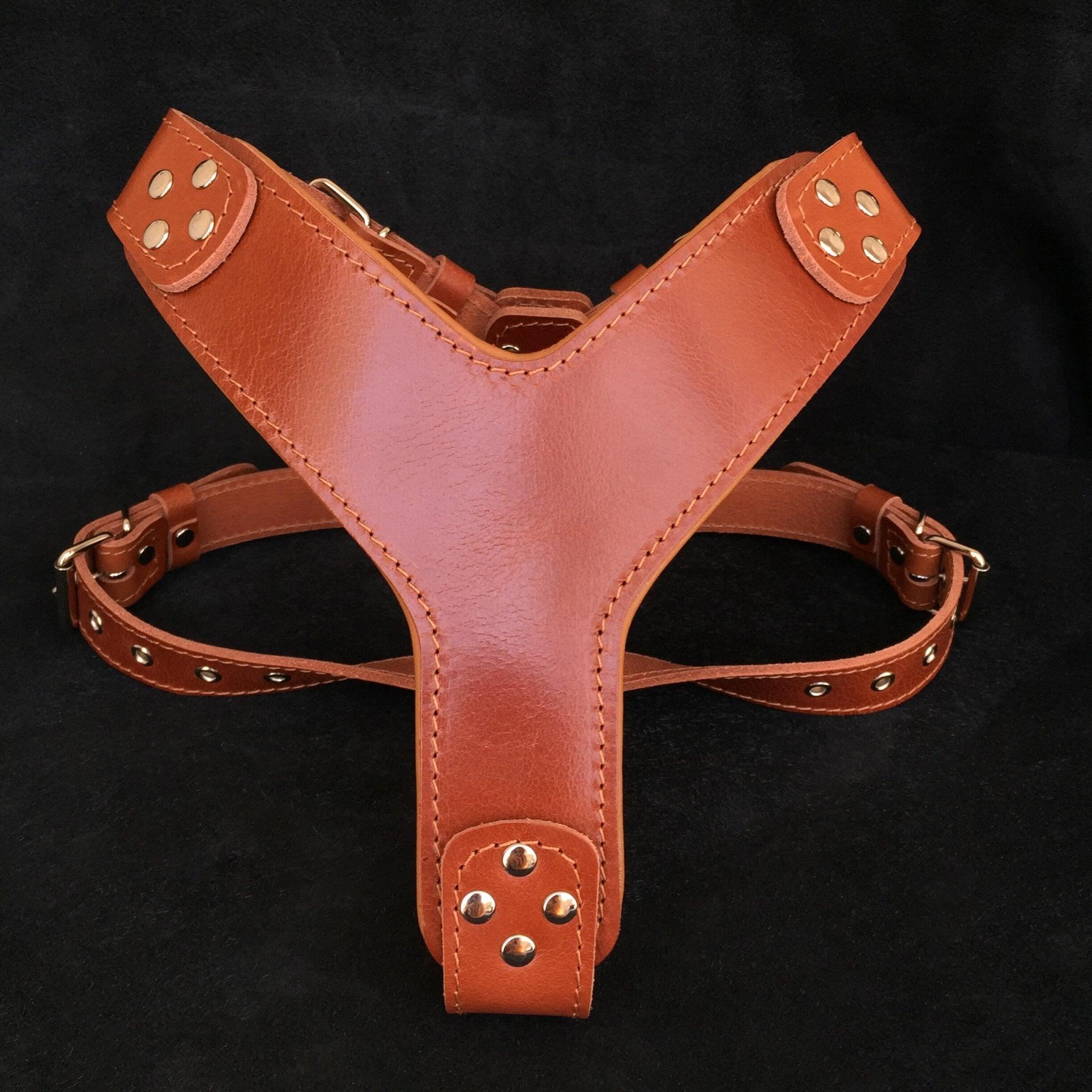 The ''Style'' harness Brown – Bestia Collars
